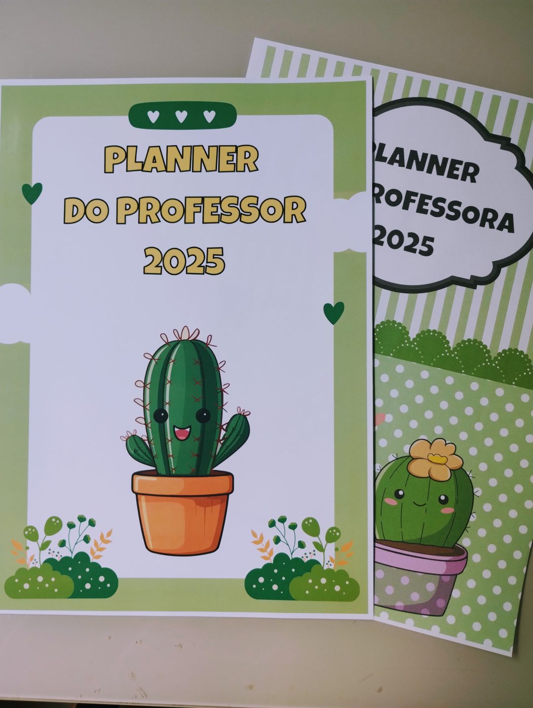 Planner Professora Cactus- 2025 - Criar Recursos Pedagógicos